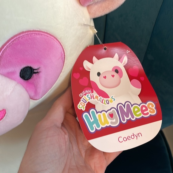 Squishmallows | Toys | Squishmallows Caedyn Hugmees Rare Collectible ...